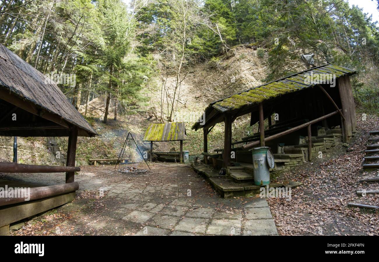 South Poland: Barbecue location in the middle of the forest surrounded ...