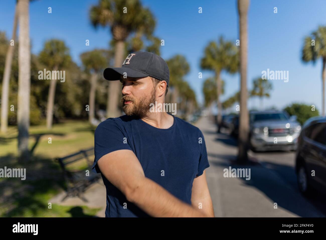 Bearded palm tree hi-res stock photography and images - Alamy
