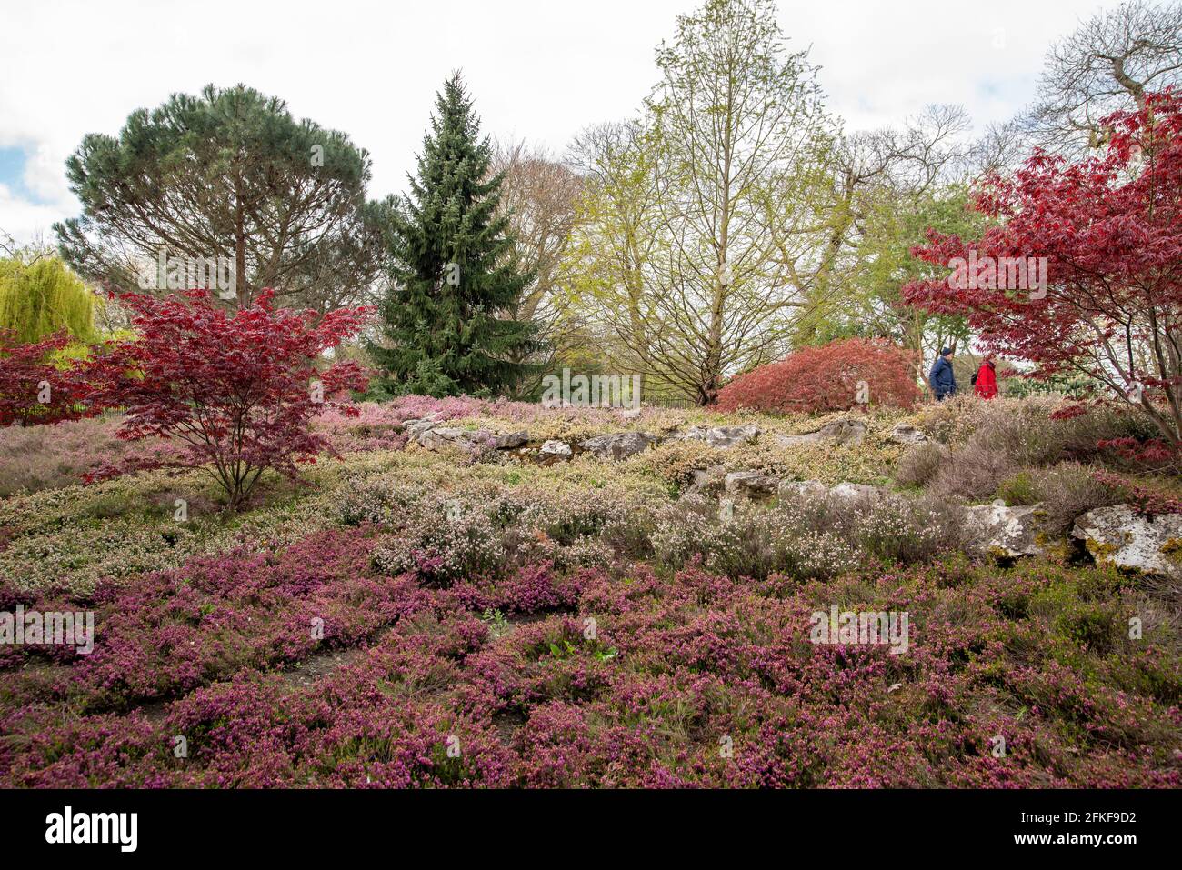 Plants and Shrubs in Greenwich Park London Stock Photo - Alamy