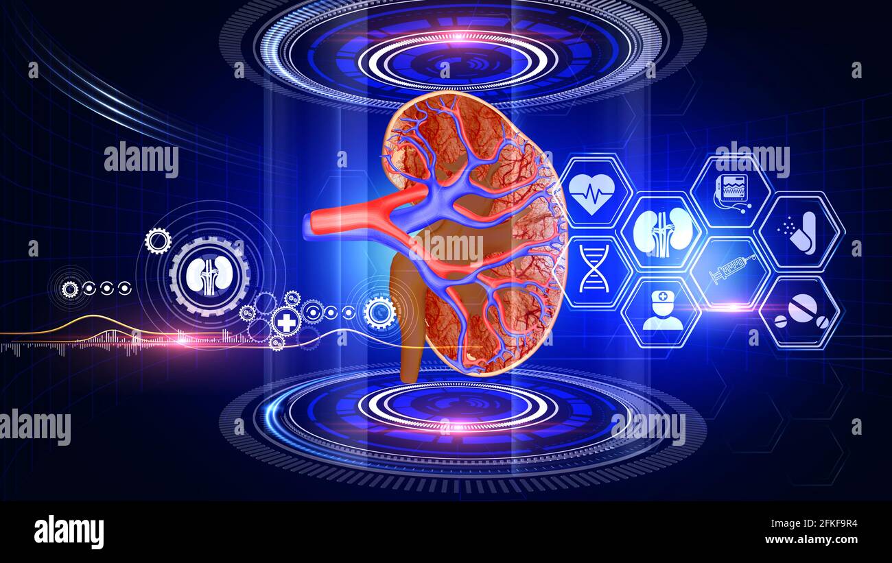 Kidney Analysis Virtual Reality A virtual reality 3d graphics showing ...