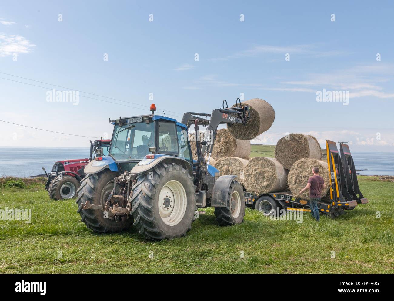 Galley Head, Cork, Ireland. 01st May, 2021. Farmer Ger Deasy is guided ...