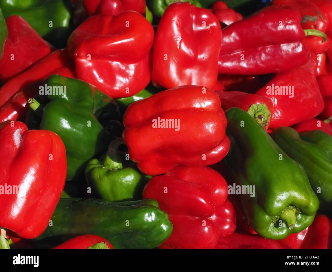 Many green sweet peppers hi-res stock photography and images - Alamy