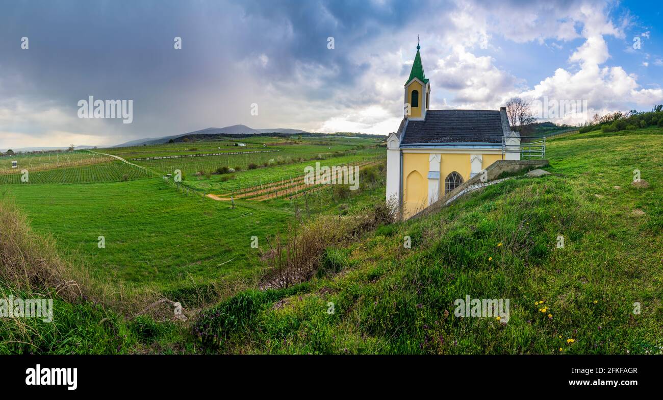 Guntramsdorf: chapel Weingartenkapelle, vineyard, mountain Anninger ...