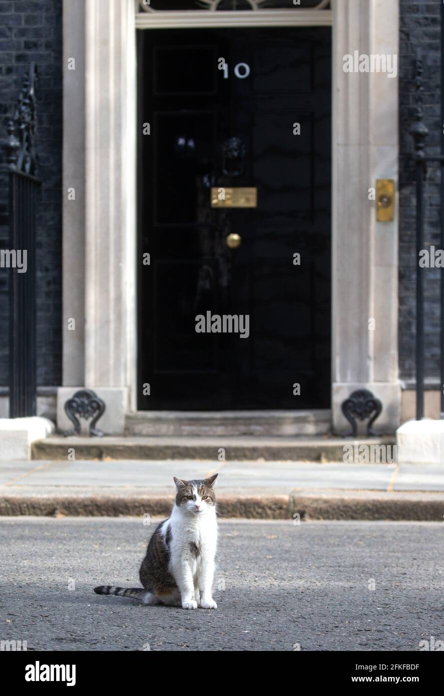 Larry the cat outside 10 downing street hi-res stock photography and ...