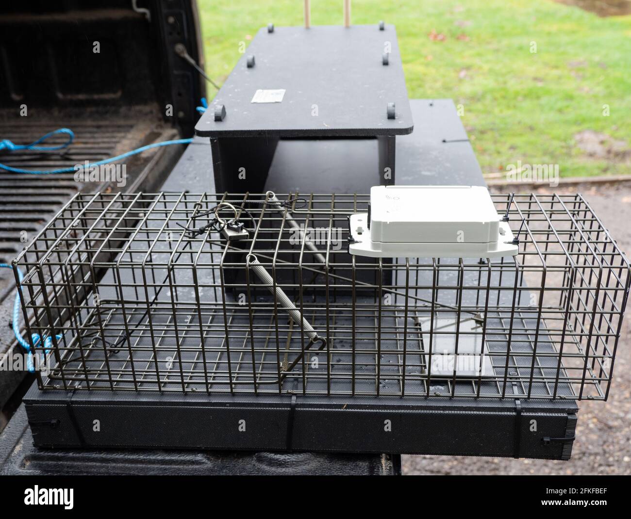Mink trap hi-res stock photography and images - Alamy