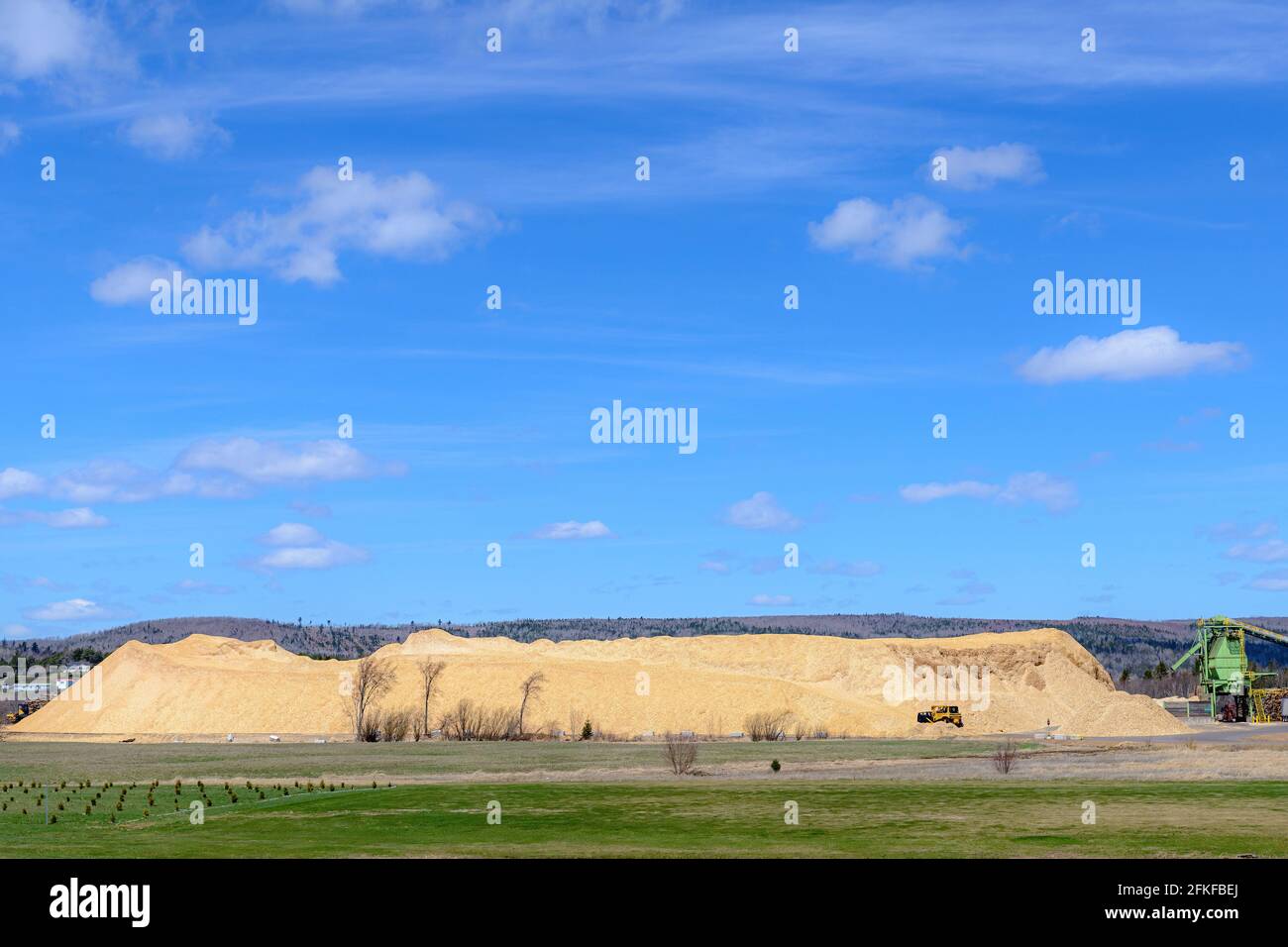 Bulldozer logging bulldozer hi-res stock photography and images - Alamy