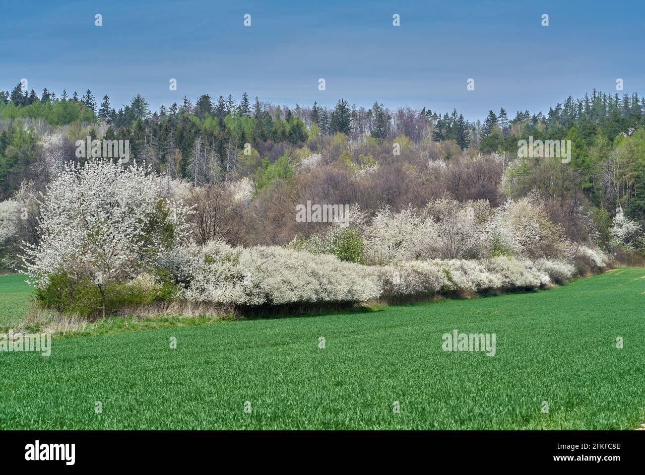 Spring rural landscape Lower Silesia Poland Stock Photo - Alamy