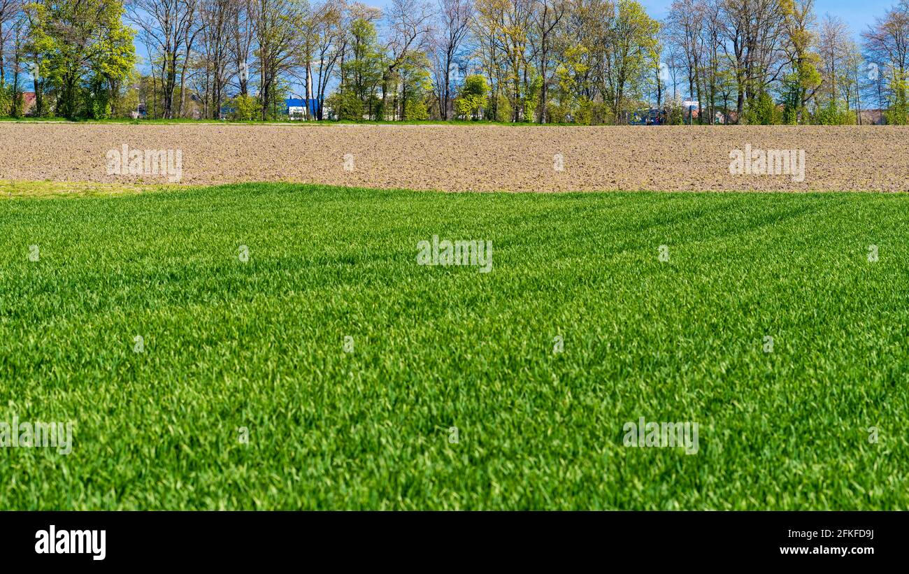Green farmers field hi-res stock photography and images - Alamy