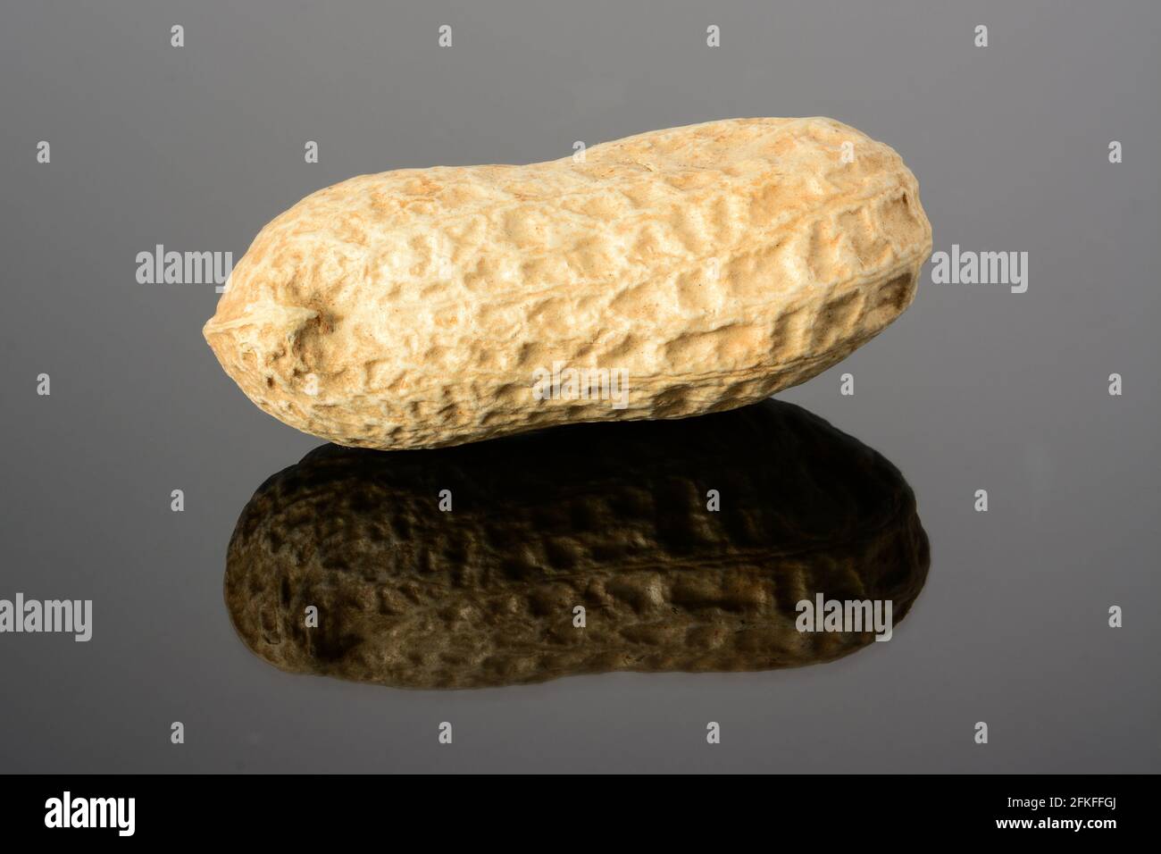 Peanut on glossy grey surface with reflection. Ripe dry real peanut ...