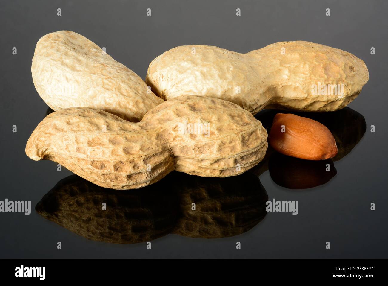 Peanut on glossy grey surface with reflection. Three whole real peanut ...