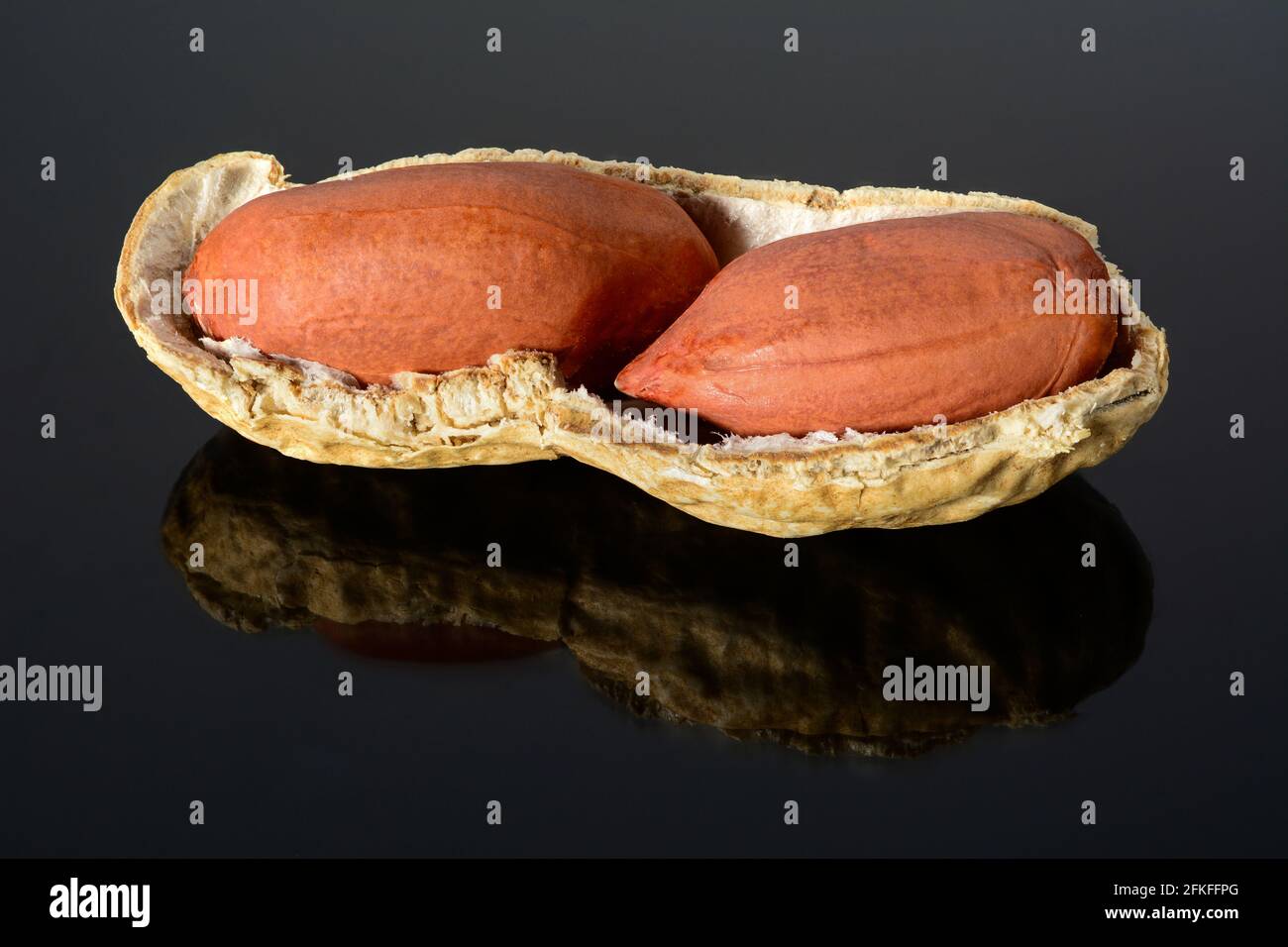 Peanut on glossy black surface with reflection. peanut with two kernels ...