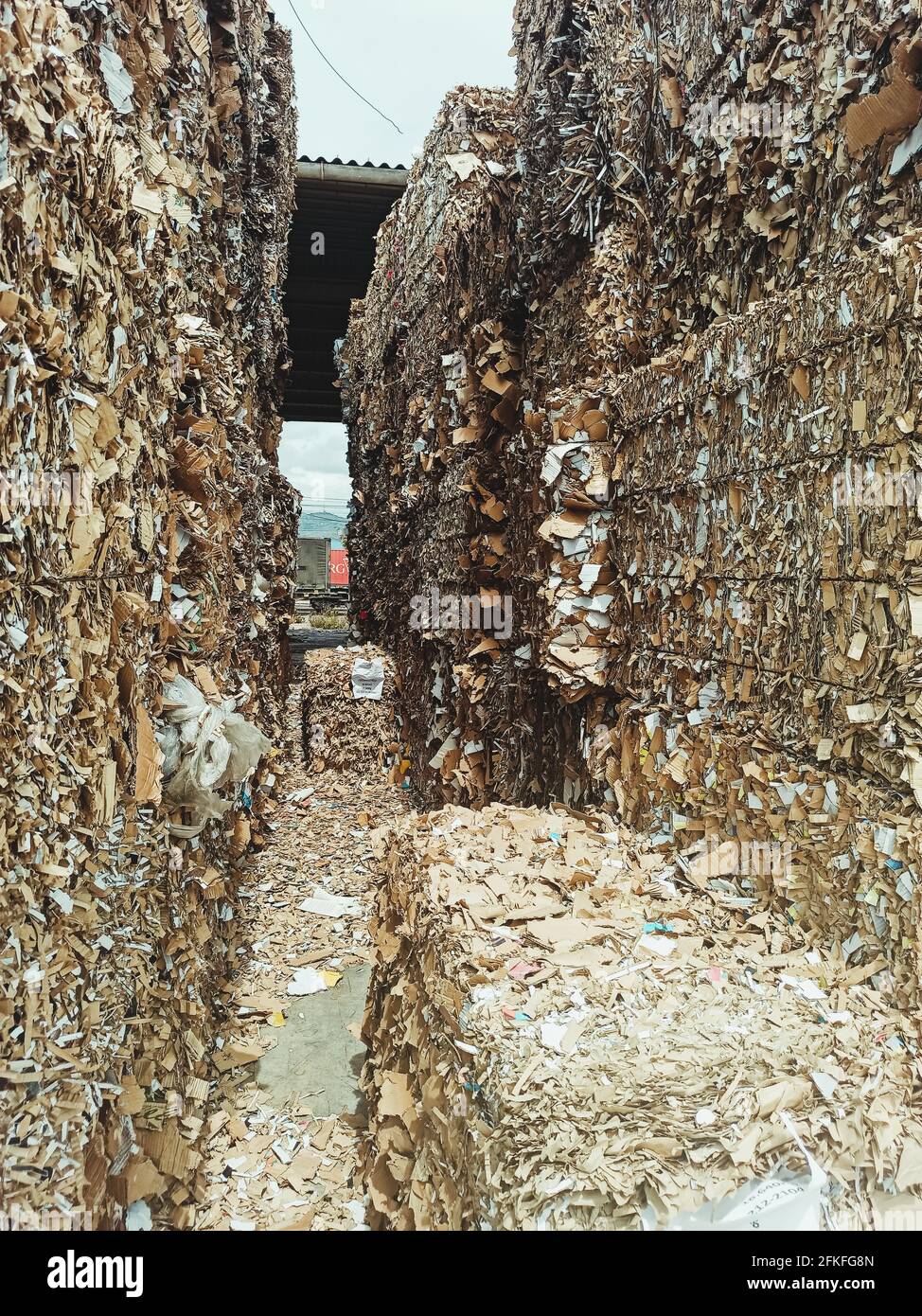 Vertical shot of piles of pressed waste paper bales in the yard, waste ...