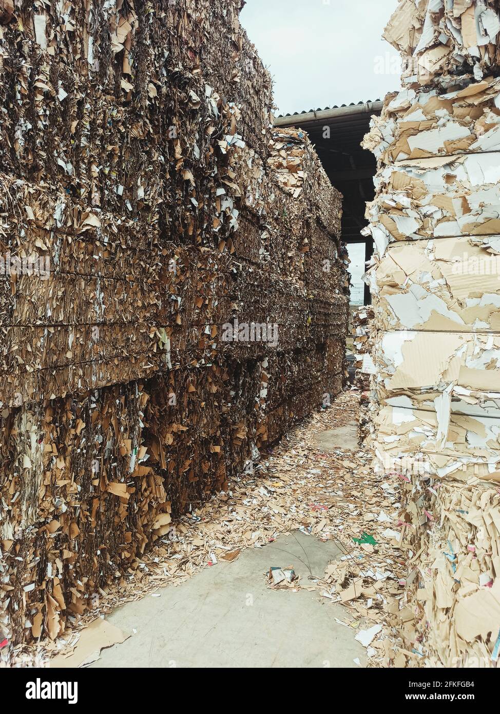 Vertical shot of piles of pressed waste paper bales in the yard, waste ...