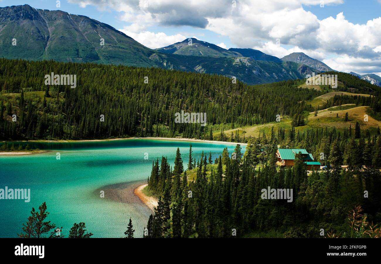 Notable for intense green color hi-res stock photography and images - Alamy