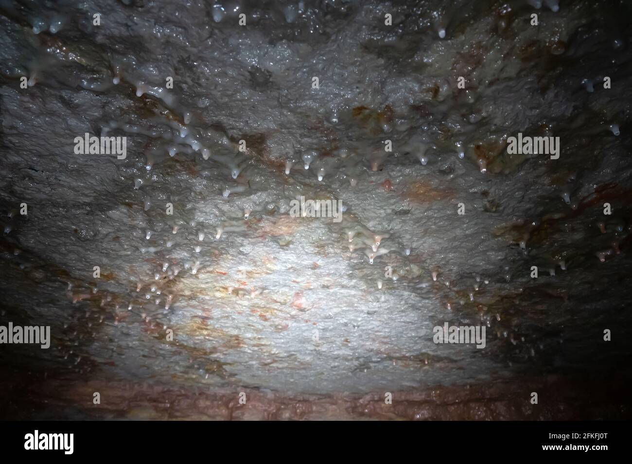 Pisolite stone hi-res stock photography and images - Alamy