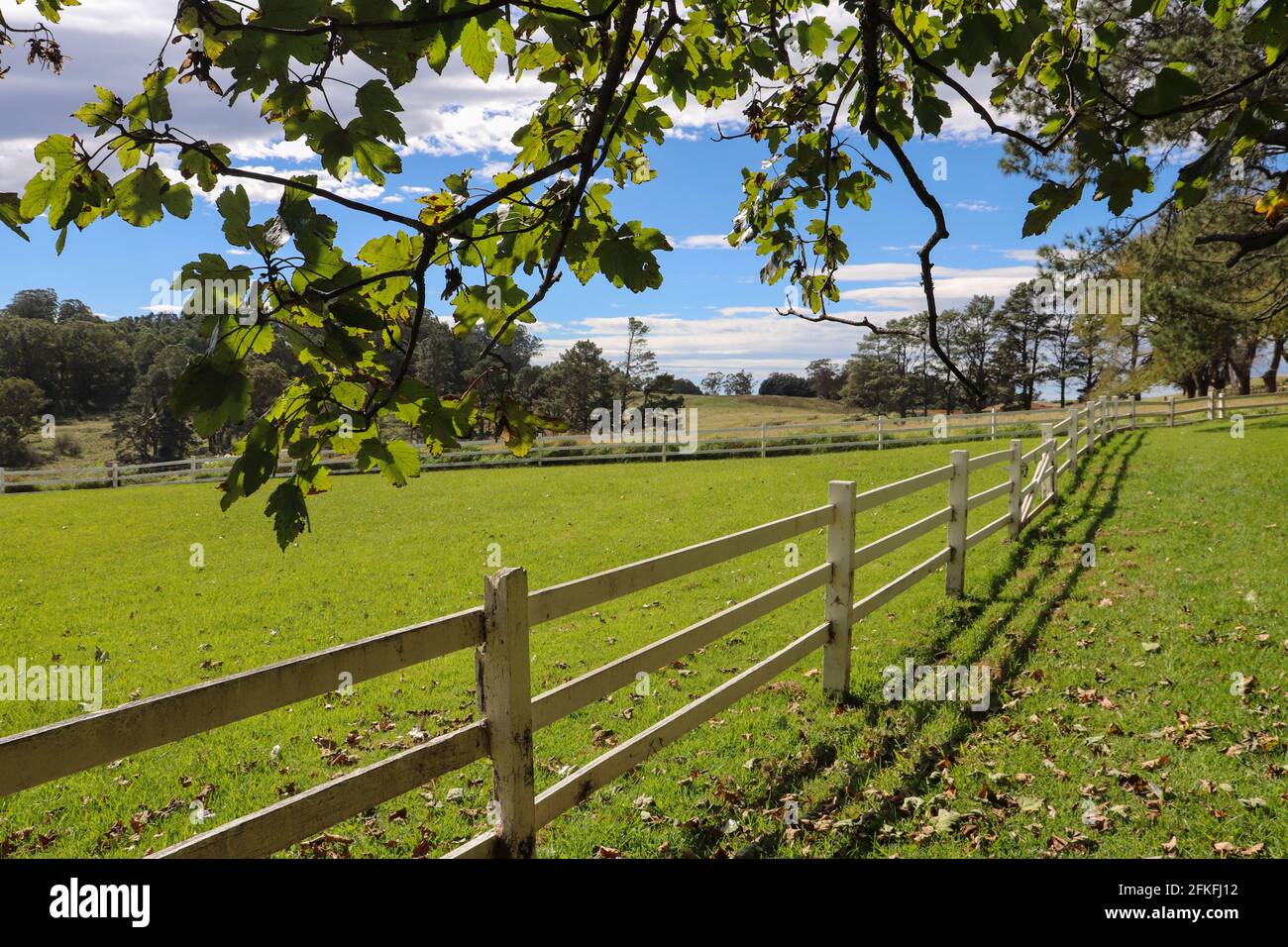 Bowral, australia hi-res stock photography and images - Alamy