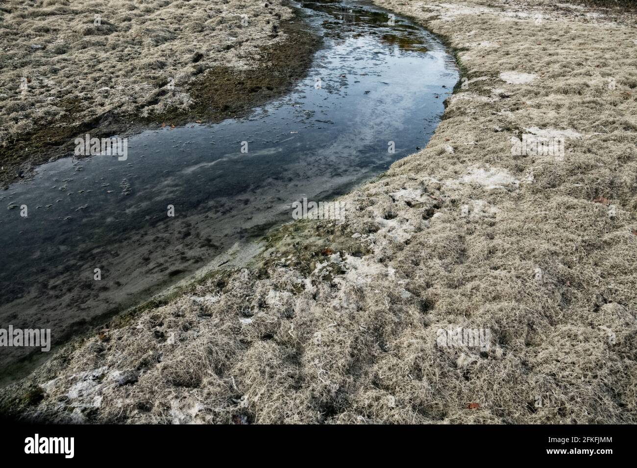 Ephemeral dry river hi-res stock photography and images - Alamy