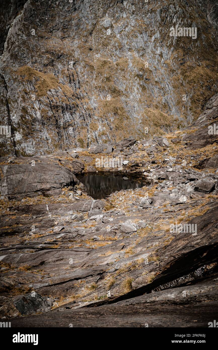 Vertical shot of a small puddle in the rock covered with dry grass ...