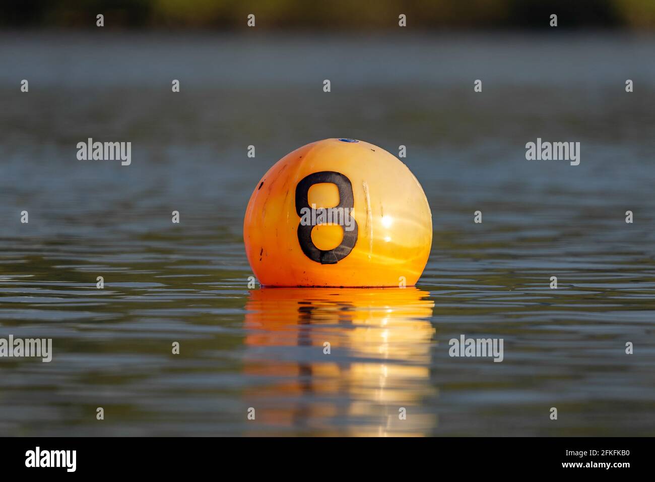 Bright orange buoy floating in lake with water reflection. Number 8 ...