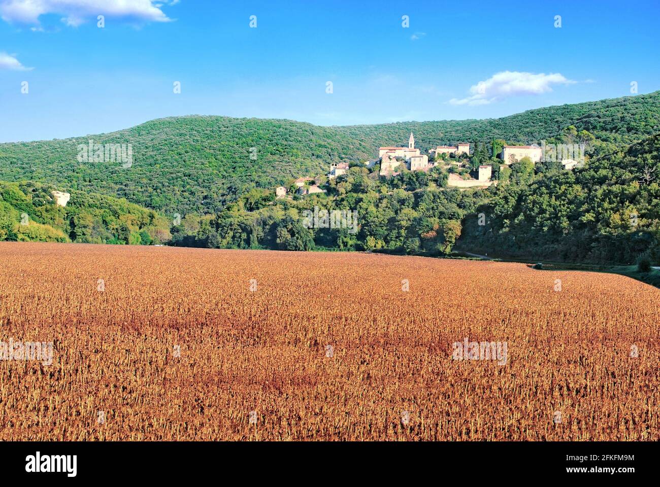 Gard provencal hi-res stock photography and images - Alamy