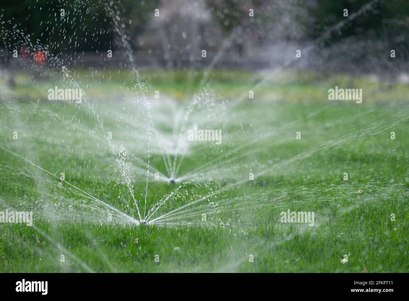 Spraying water in the grass Stock Photo - Alamy