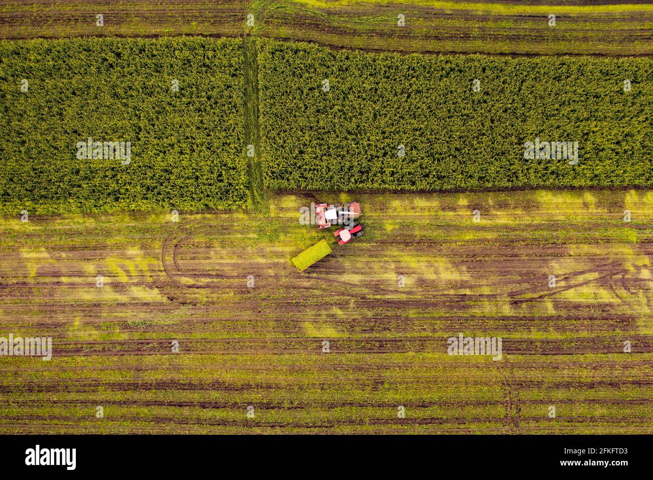 Aerial view of agricultural fields. Top view Stock Photo - Alamy