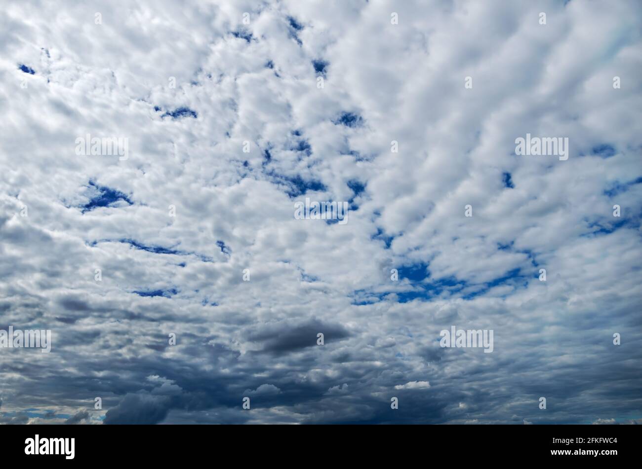 Skyline with looming storm clouds, rain clouds. Thundercloud with ...