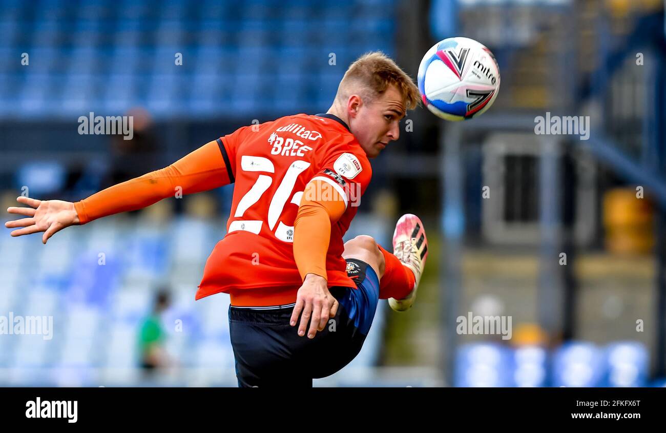 English bree hi-res stock photography and images - Alamy