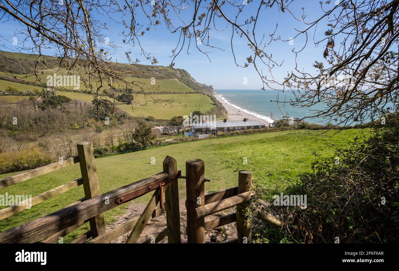 Jurassic coast branscombe beach south hi-res stock photography and ...