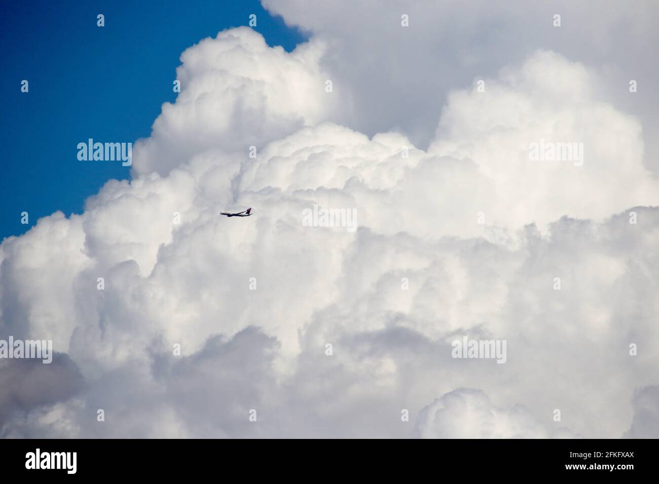 Airplane in clouds Stock Photo - Alamy