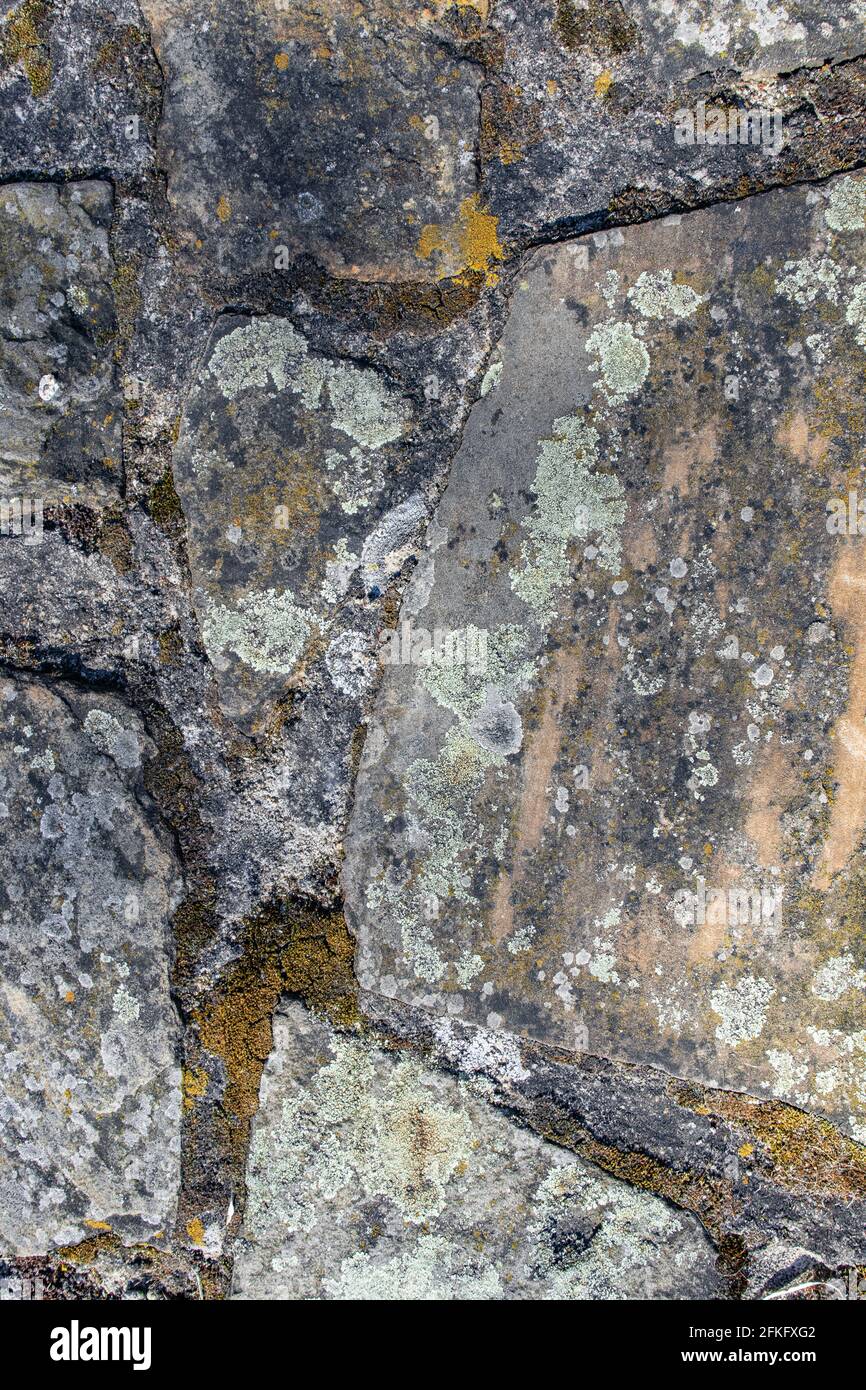 Vertical top view of a rock texture Stock Photo - Alamy