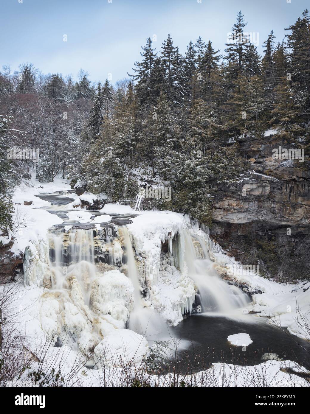 A frozen Blackwater Falls covered in ice and surrounded by pines in ...