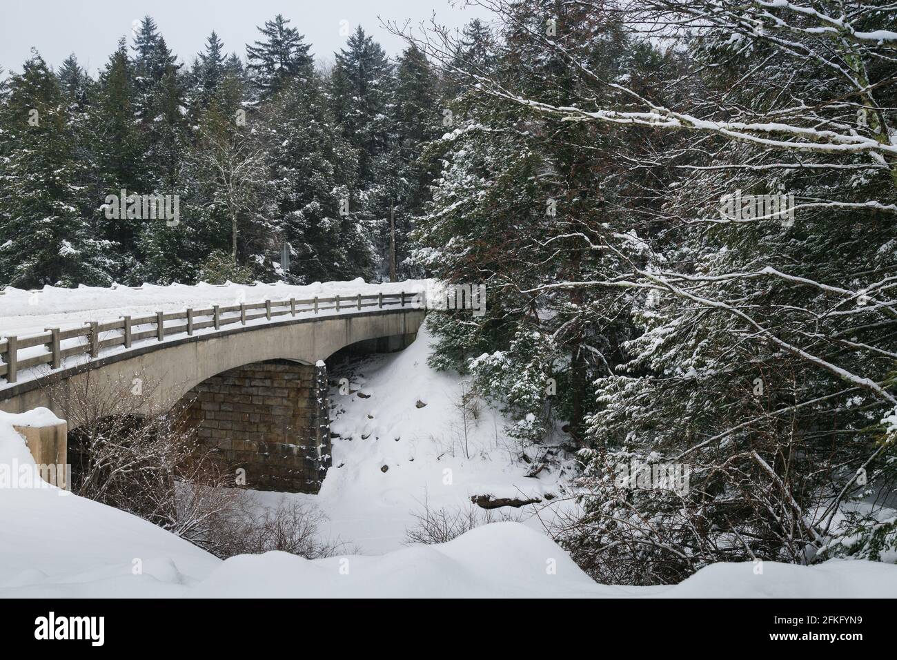 Blackwater River surrounded by snow-covered trees in Blackwater Falls ...