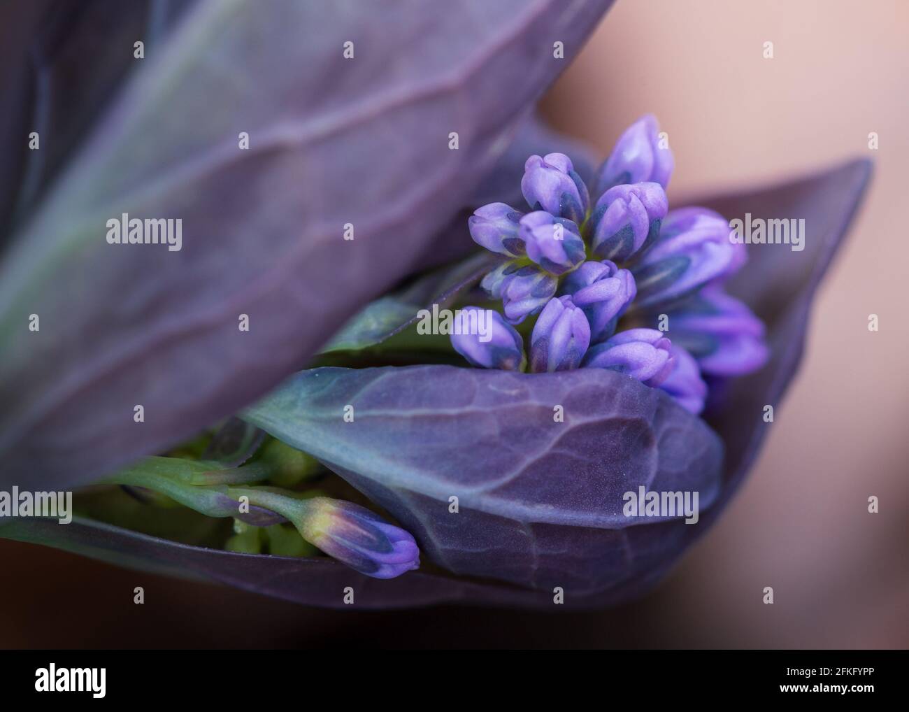 Riverbend park hi-res stock photography and images - Alamy