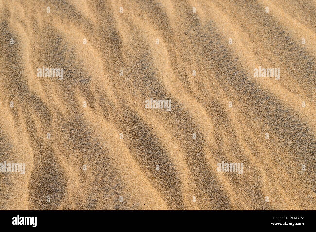 A close up of wind-formed ridges in the sand dunes of Jockey's Ridge ...