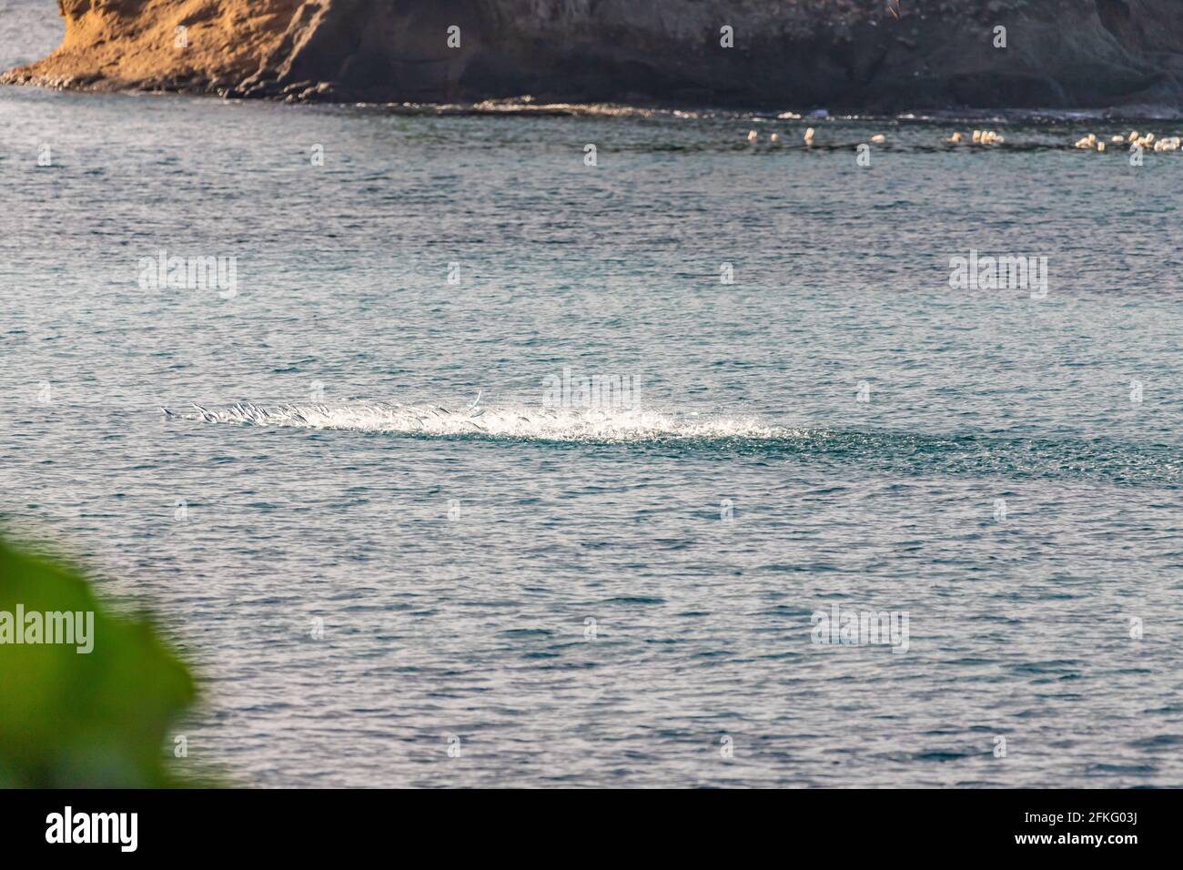 Saint feeding fish hi-res stock photography and images - Alamy