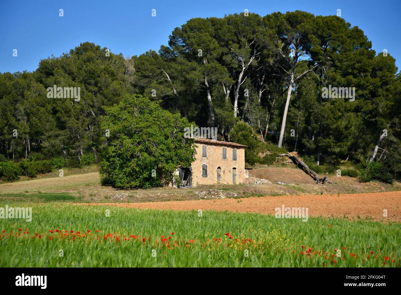 Quatre arches hi-res stock photography and images - Alamy
