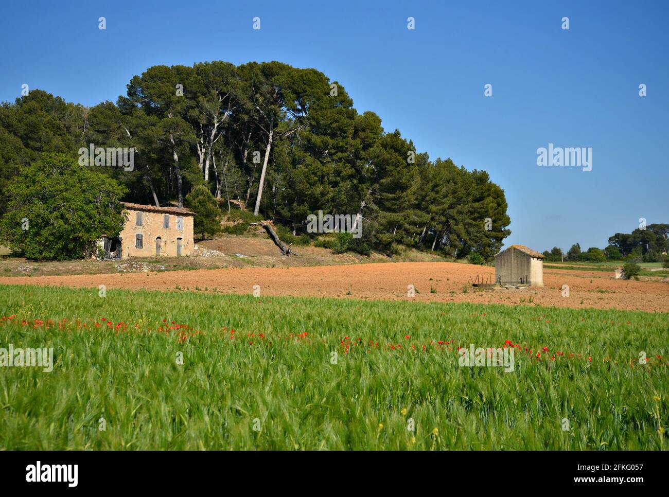 France cathedral oil paintings hi-res stock photography and images - Alamy