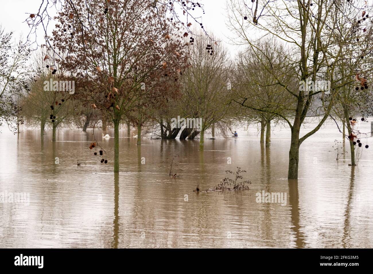 Rhine flood 2021 hi-res stock photography and images - Alamy