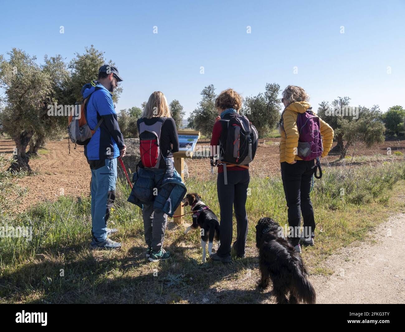 Group of young Spanish hikers looking at an information poster in the ...