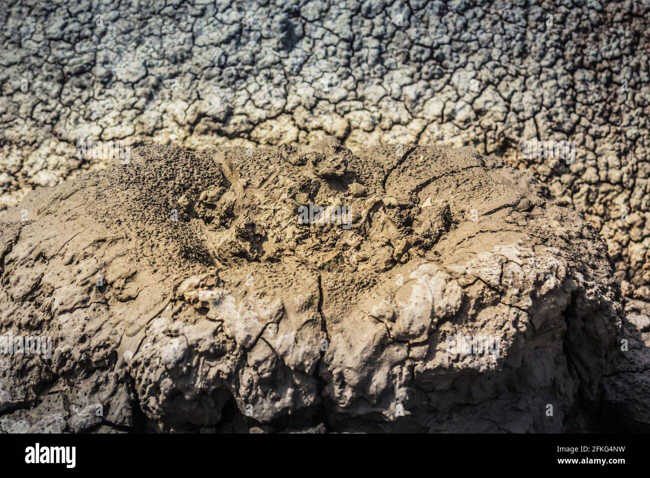 Close up of Mud Volcano in Trinidad and Tobago Stock Photo - Alamy