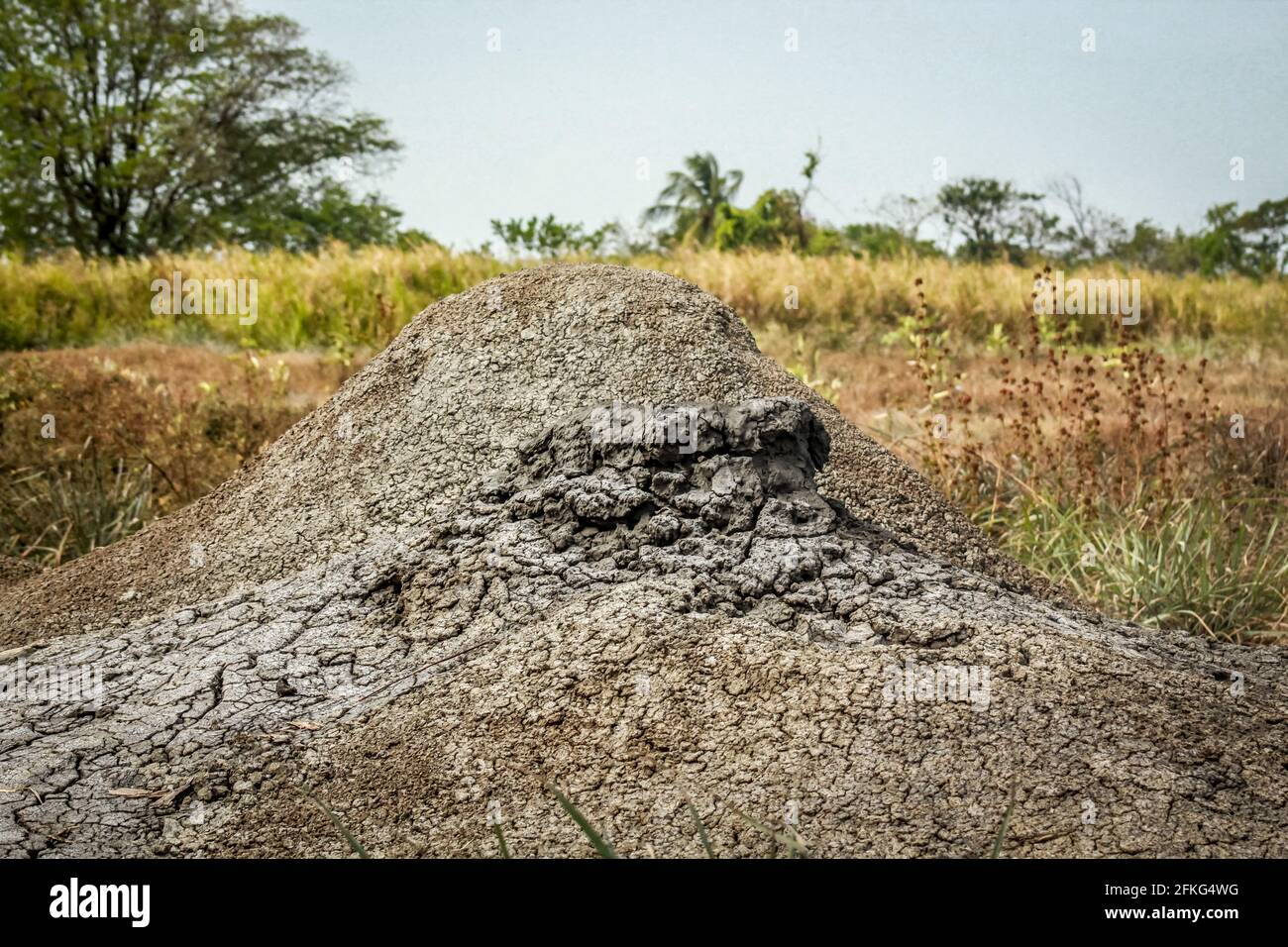 Close up of Mud Volcano in Trinidad and Tobago Stock Photo - Alamy