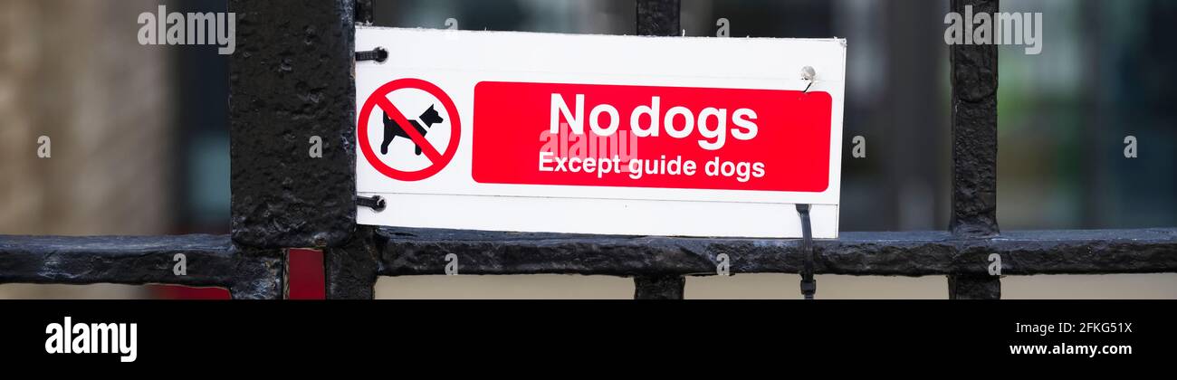 No dogs except guide dogs sign outside school Stock Photo - Alamy