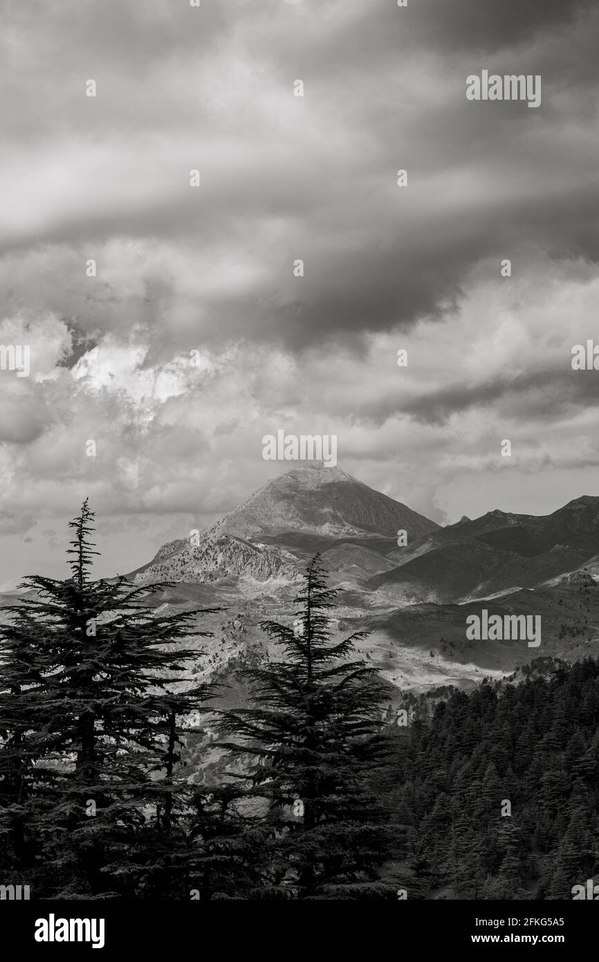 View of cedar forests and Tunc mountain in Antalya - Turkey Stock Photo ...