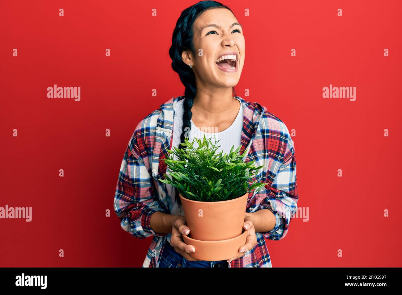 Beautiful hispanic woman wearing gardener shirt holding plant pot angry ...