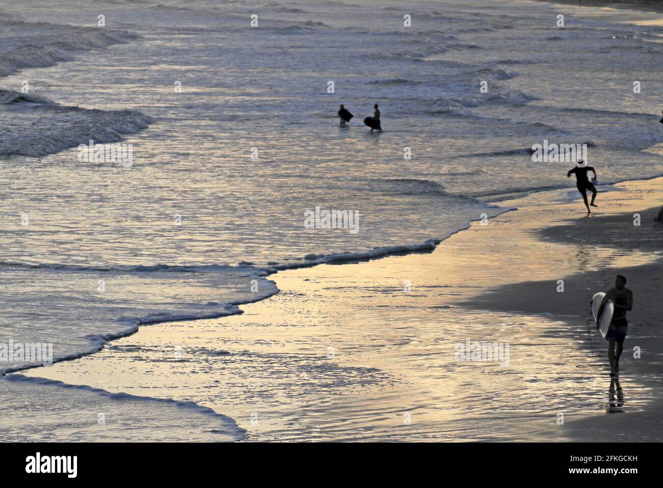 Silhouetted people on the beach at dusk, wading in the sea, stepping on ...