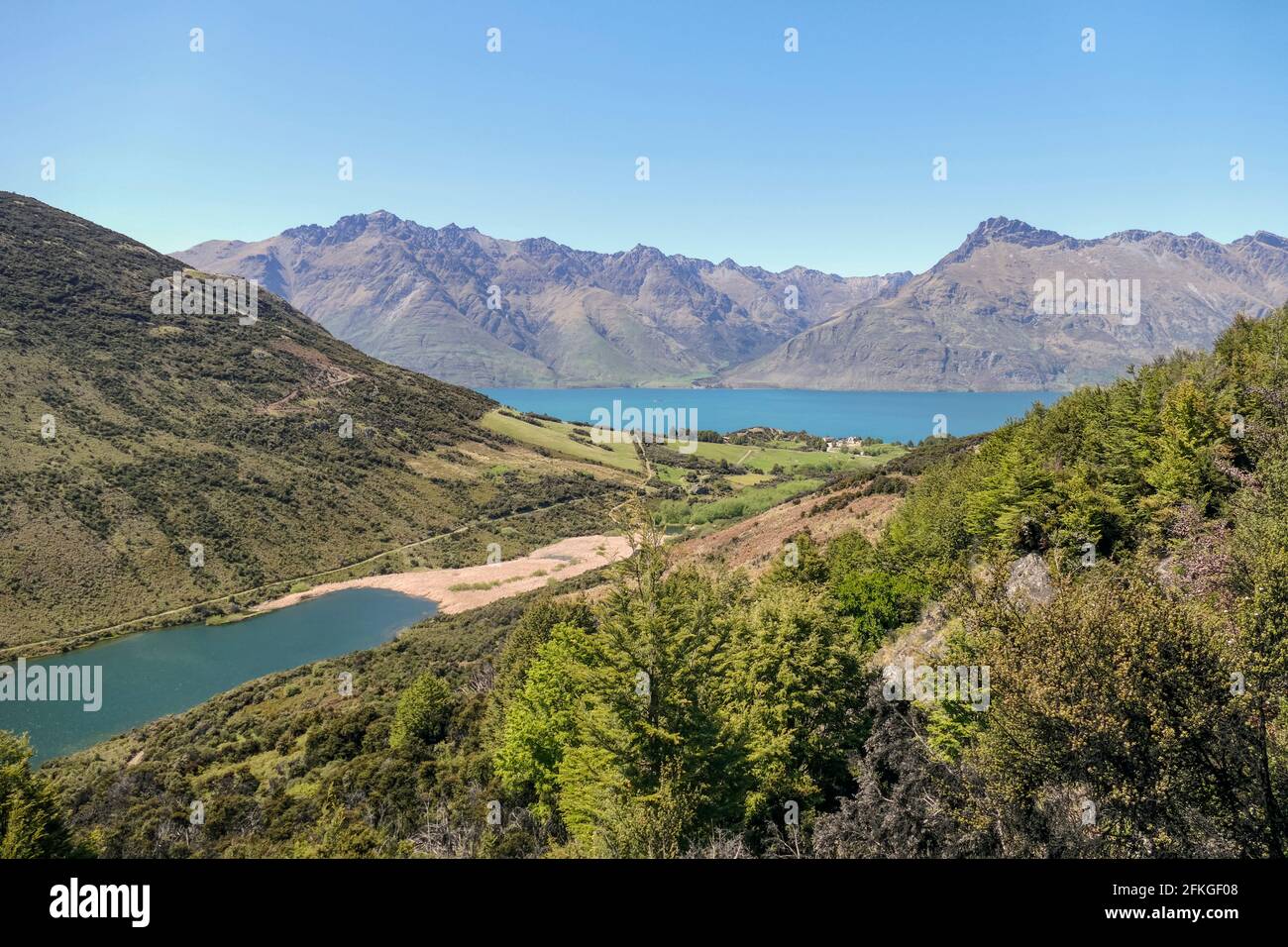 Scenery around the Mount Crichton Loop Track in Otago in New Zealand ...