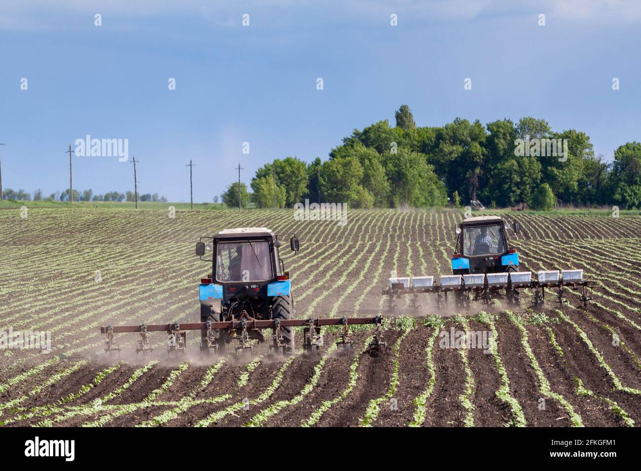 field work in agriculture. farmer's tractor harrows the field after ...
