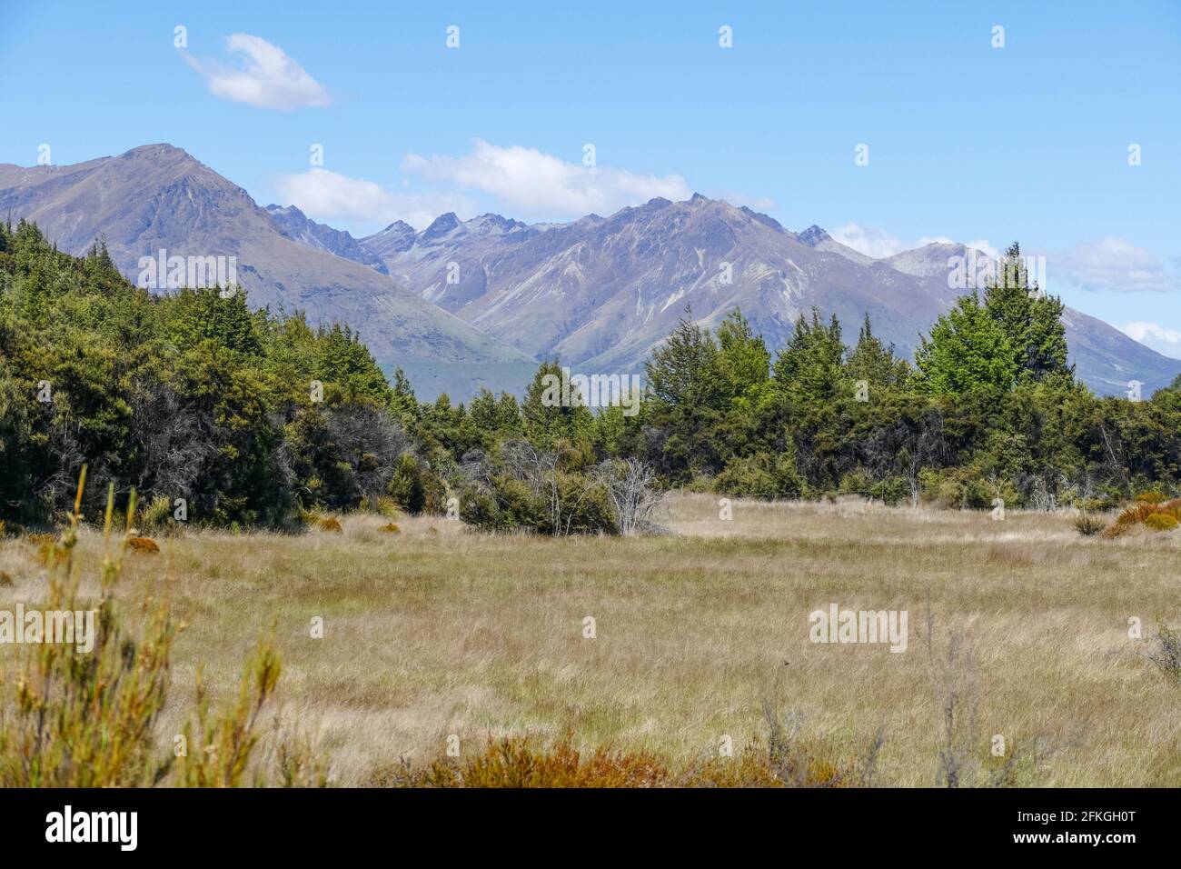 Scenery around the Mount Crichton Loop Track in Otago in New Zealand ...