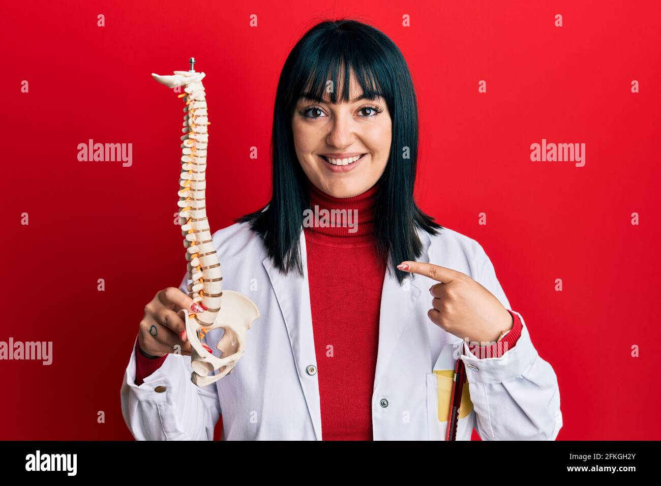 Young hispanic doctor woman holding anatomical model of spinal column ...